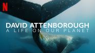 David Attenborough A Life On Our Planet 2020 