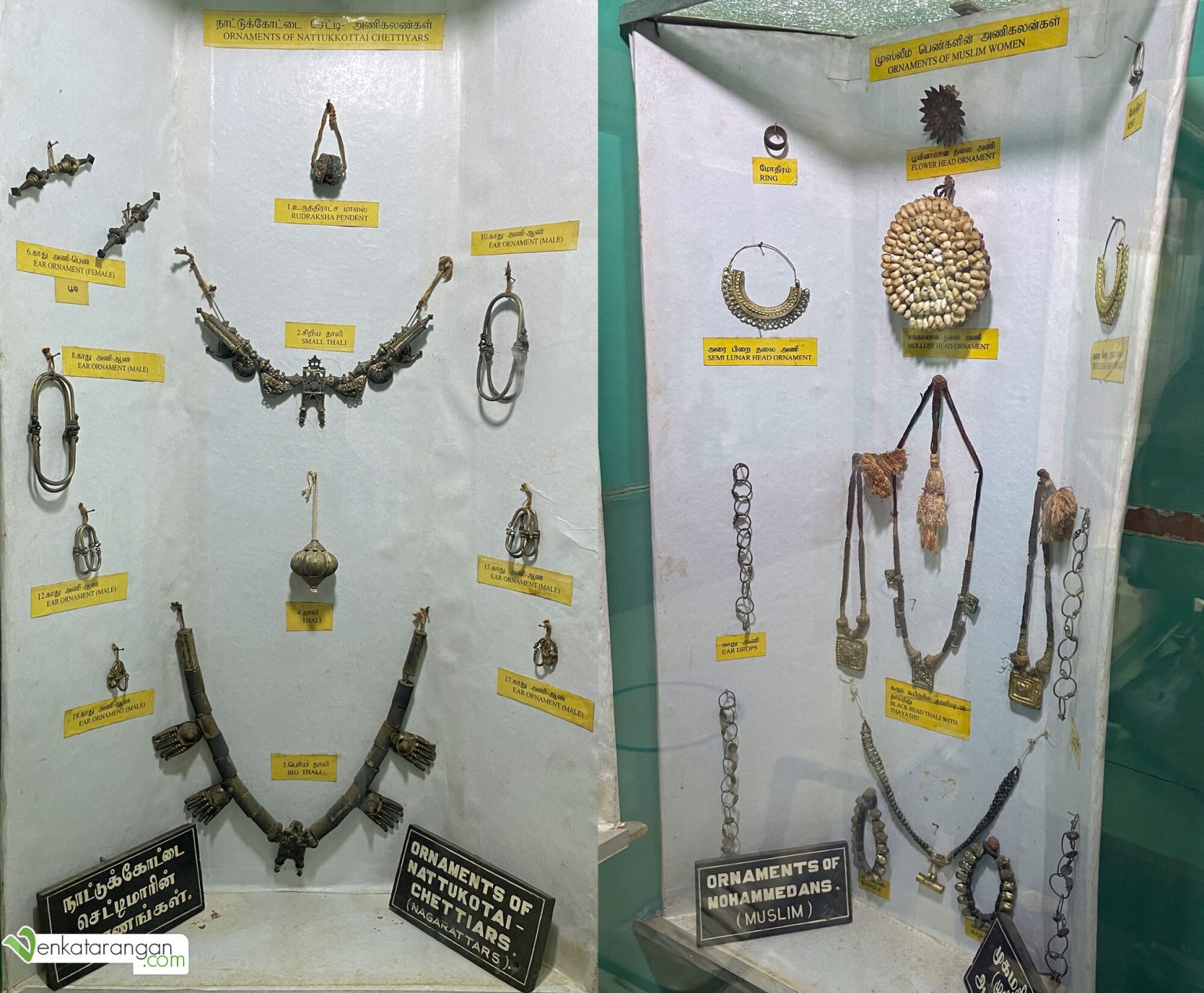 Pudukkottai Government Museum