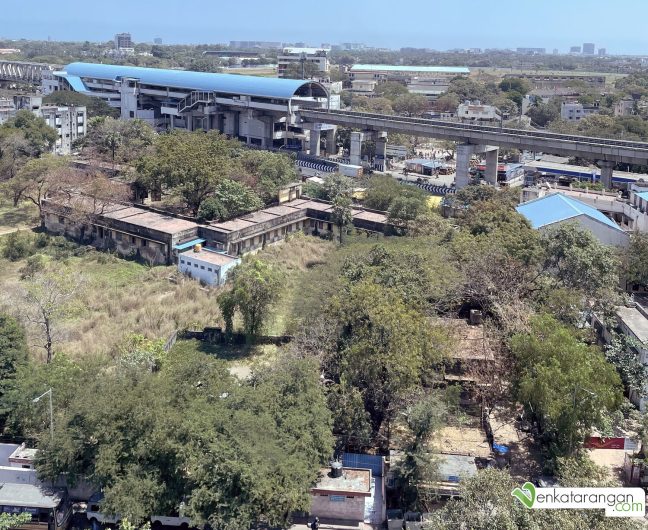 Greenery in Guindy Estate
