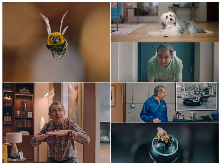Man vs. Bee (TV series)
