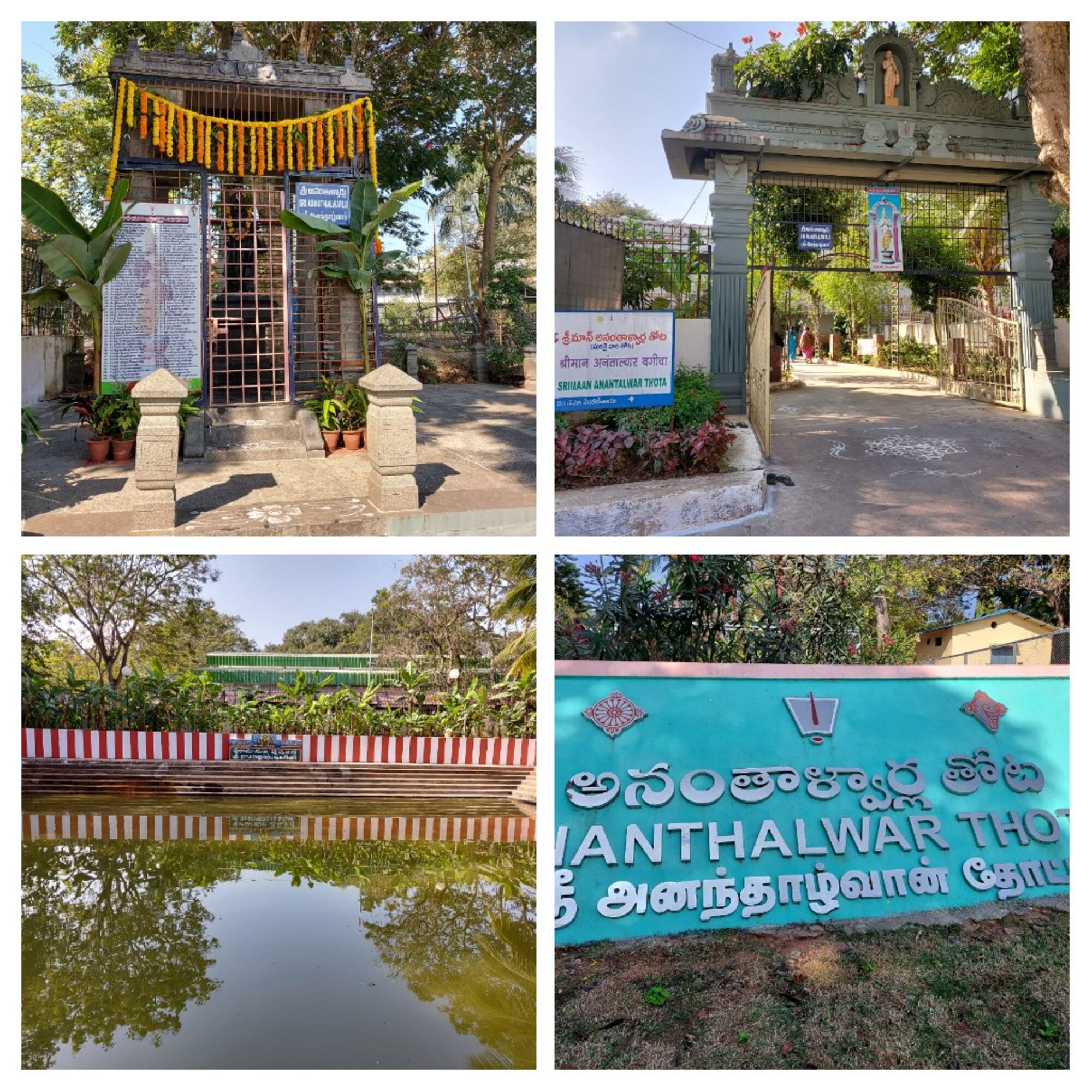 Visit to Tirumala Tirupati & Sri Ananthalwar Thota