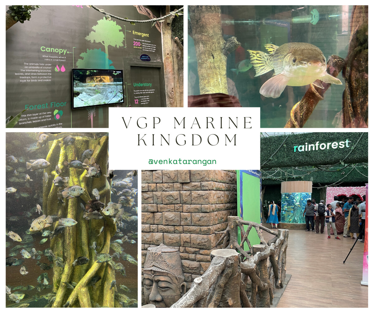 VGP Marine Kingdom, Chennai's aquarium